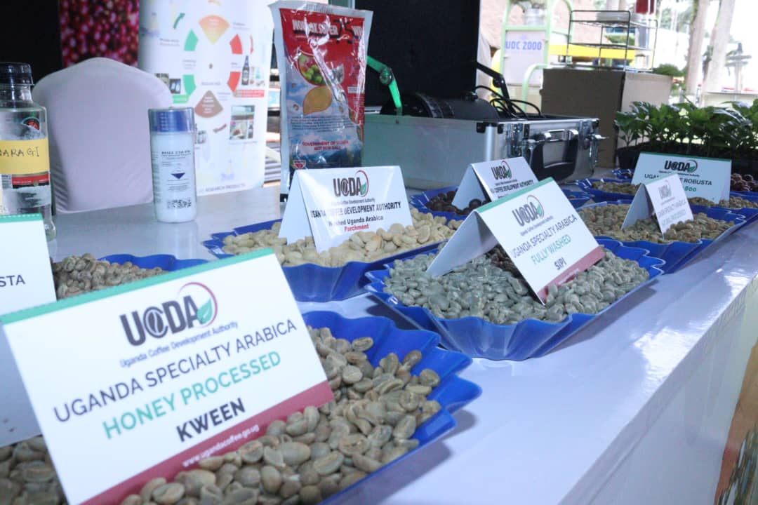 UGANDA’S COFFEE EXPORT VALUE ON THE RISE - Published By UPPC